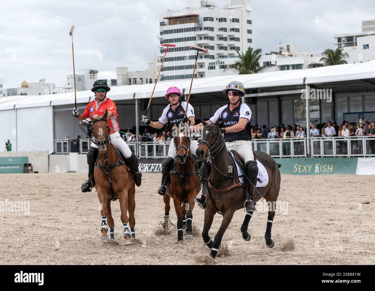 Miami Beach , USA-November 17. 2024: Polo players play at the World ...