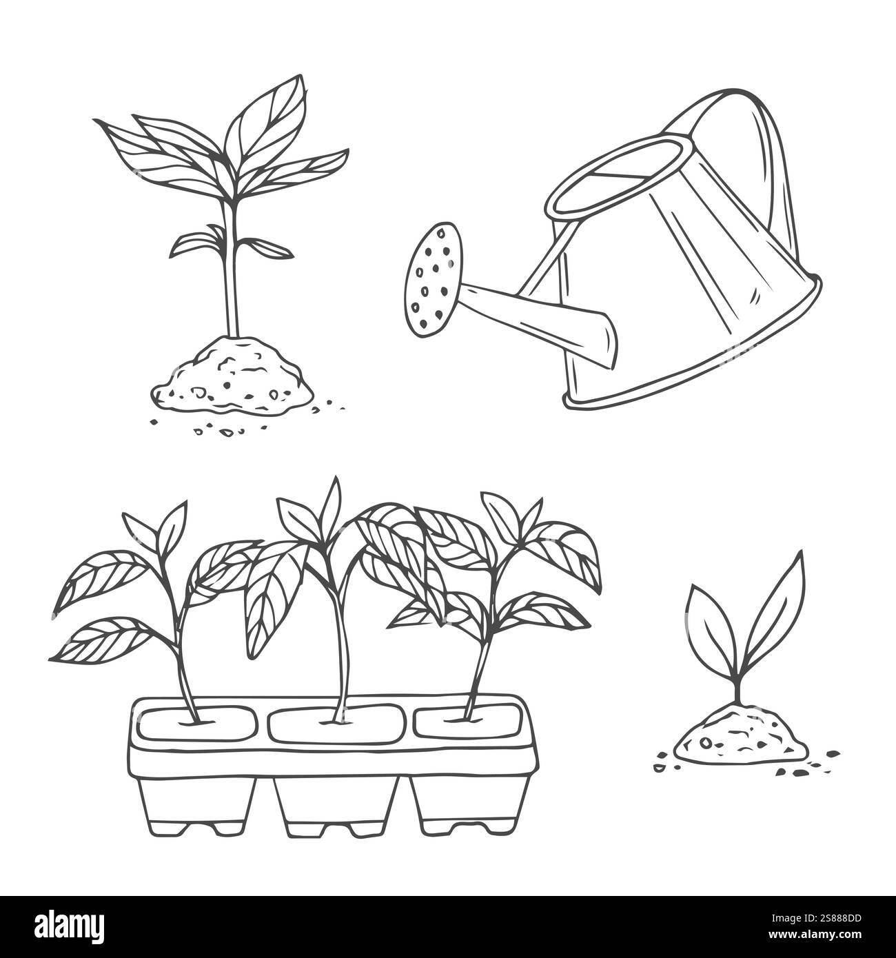 Sprout in sketch style. Garden seedlings, vector illustration Stock ...