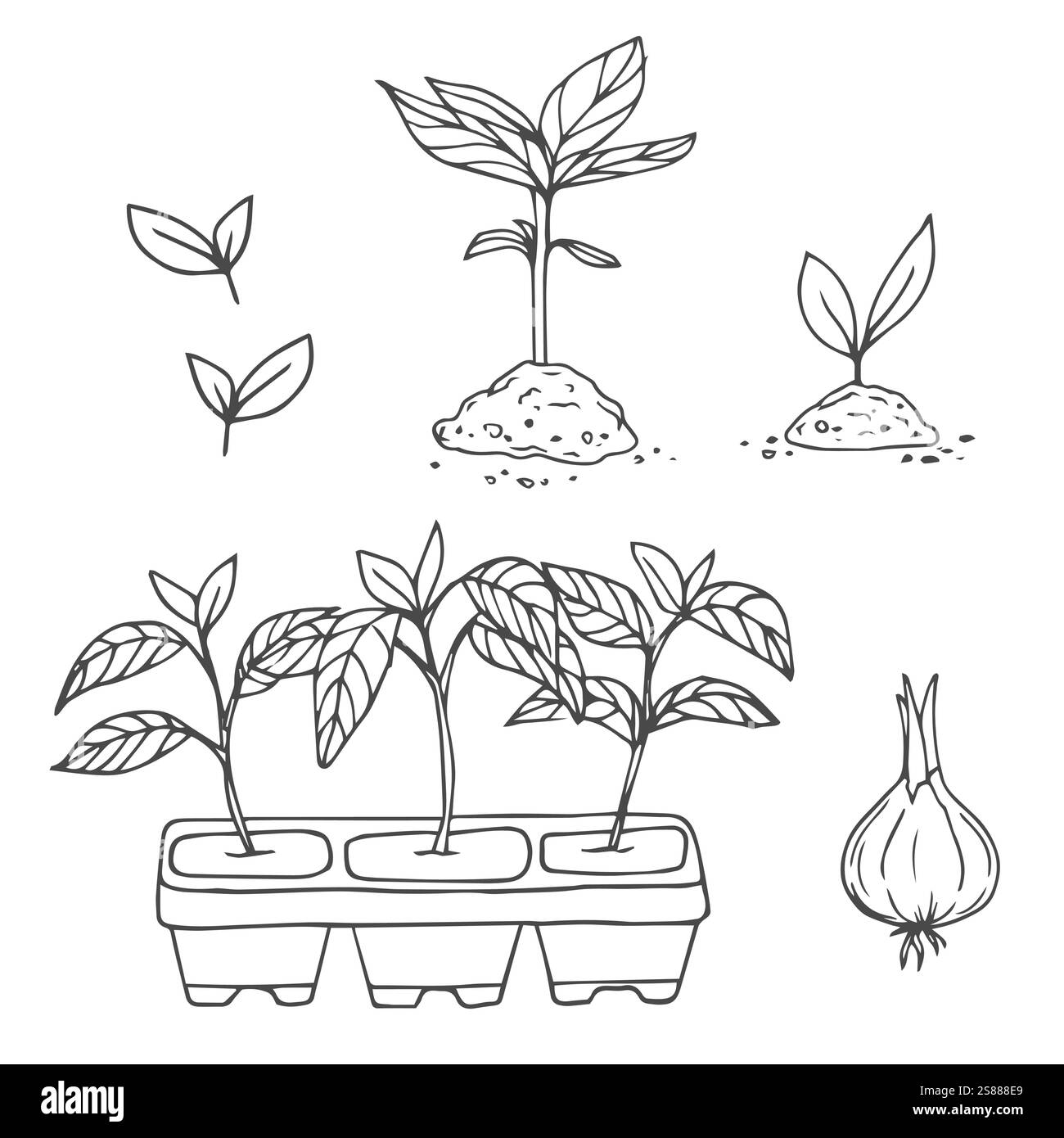 Sprout in sketch style. Garden seedlings, vector illustration Stock ...