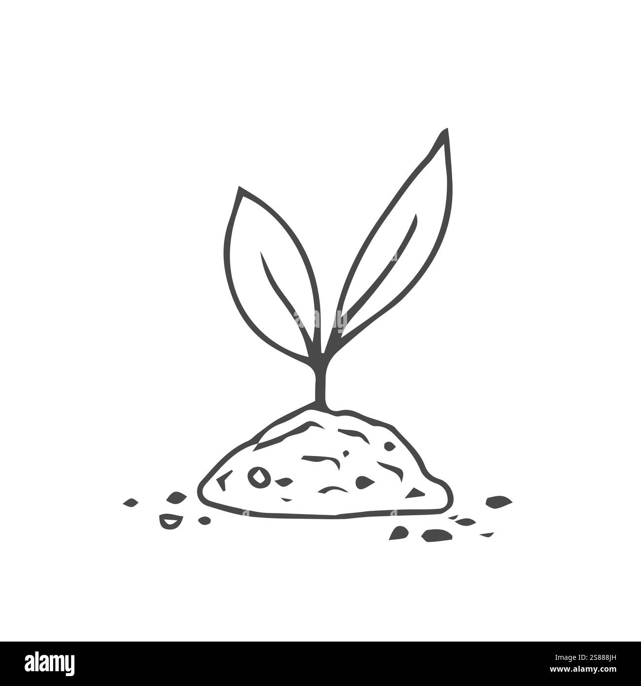 Sprout sketch Black and White Stock Photos & Images - Alamy