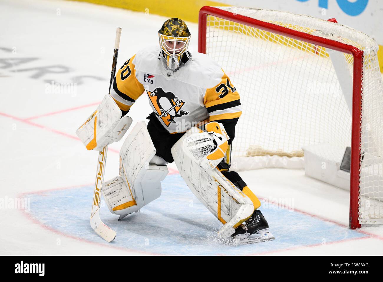 Pittsburgh Penguins goaltender Joel Blomqvist (30) in action during the ...