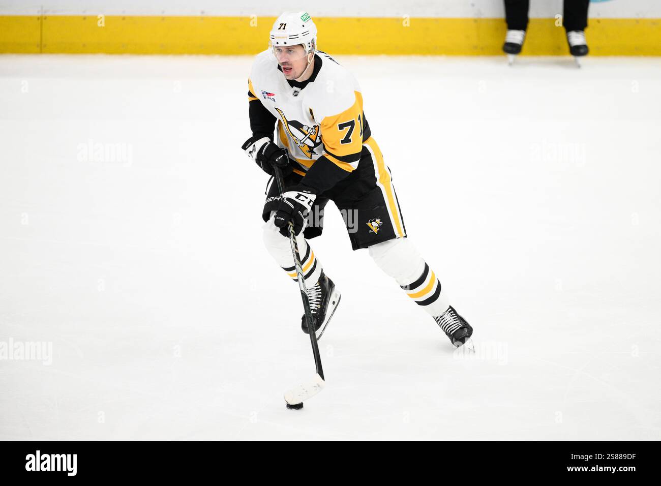 Pittsburgh Penguins center Evgeni Malkin (71) in action during the ...