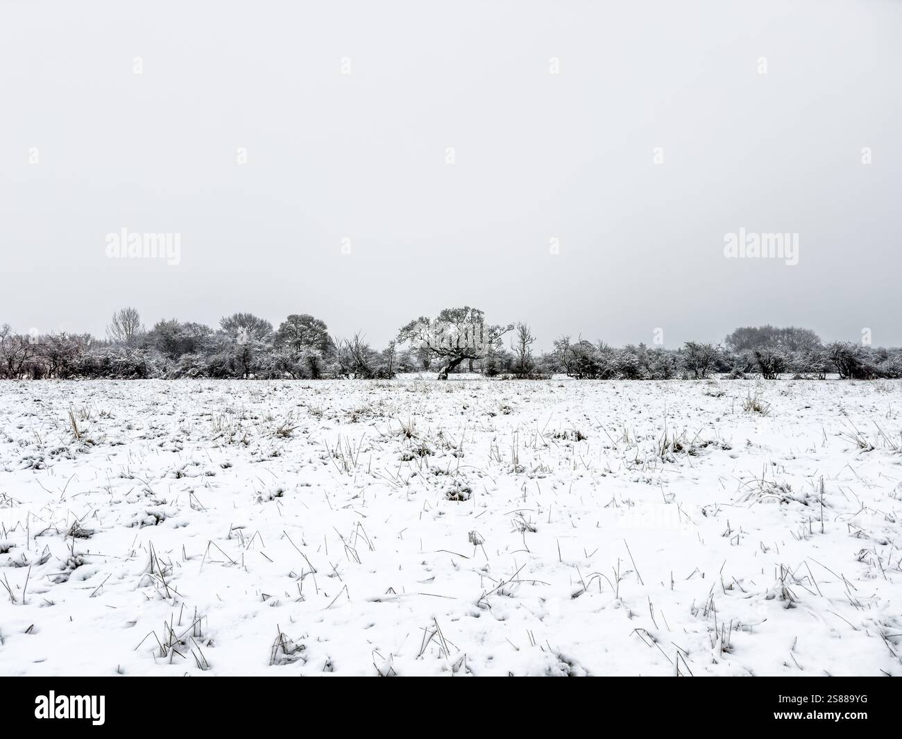 Snow-covered field in the Monks Cross area of Huntington in York. UK ...