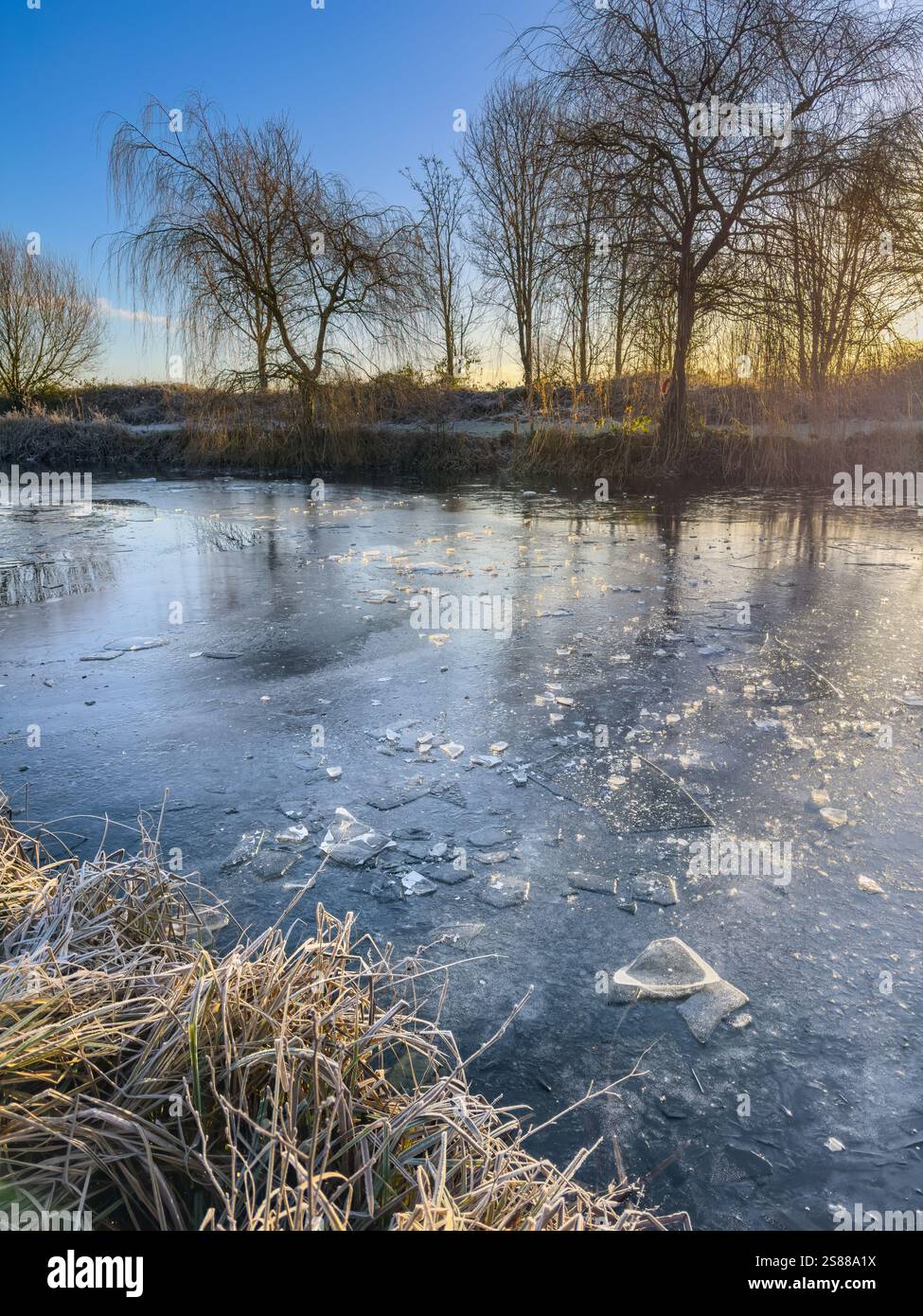 Experience peaceful beauty frozen pond hi-res stock photography and ...