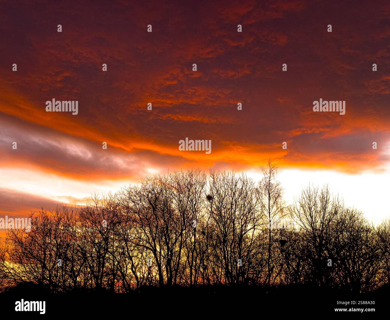 Sunset trees sky uk hi-res stock photography and images - Alamy