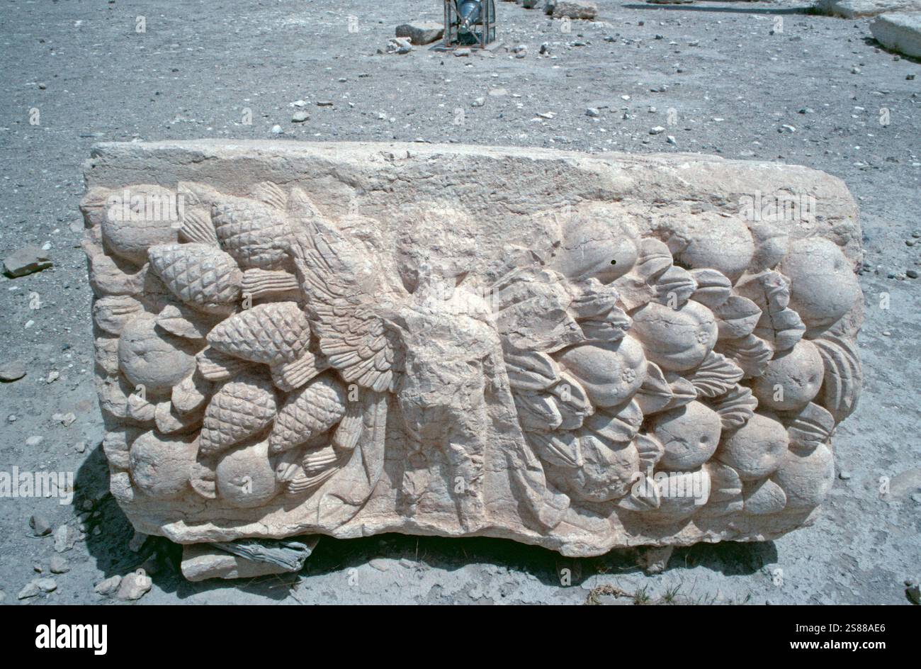 Relief, Temple of Bel, Palmyra, Tadmor, Syria, May 1987 Stock Photo - Alamy