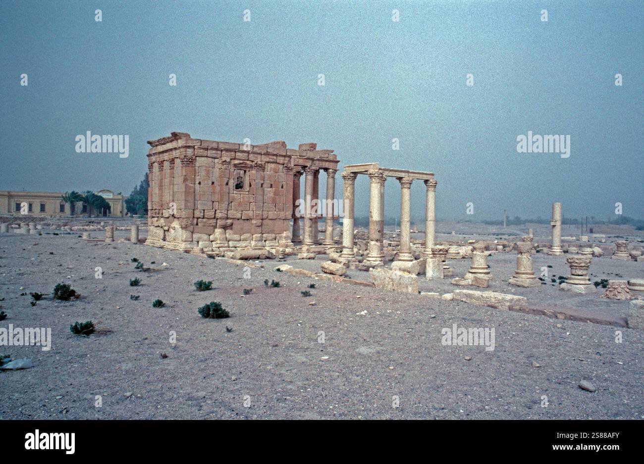 Temple of Baal-Shamin, Palmyra, Tadmor, Syria, May 1987 Stock Photo - Alamy