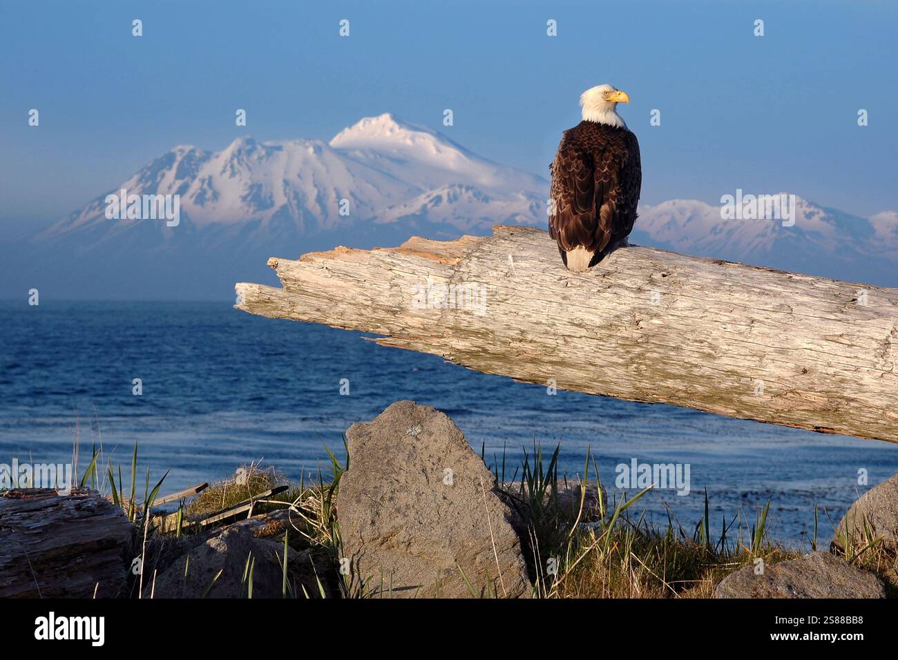 North America; United States; Alaska; Adak Island; Clam Lagoon ...