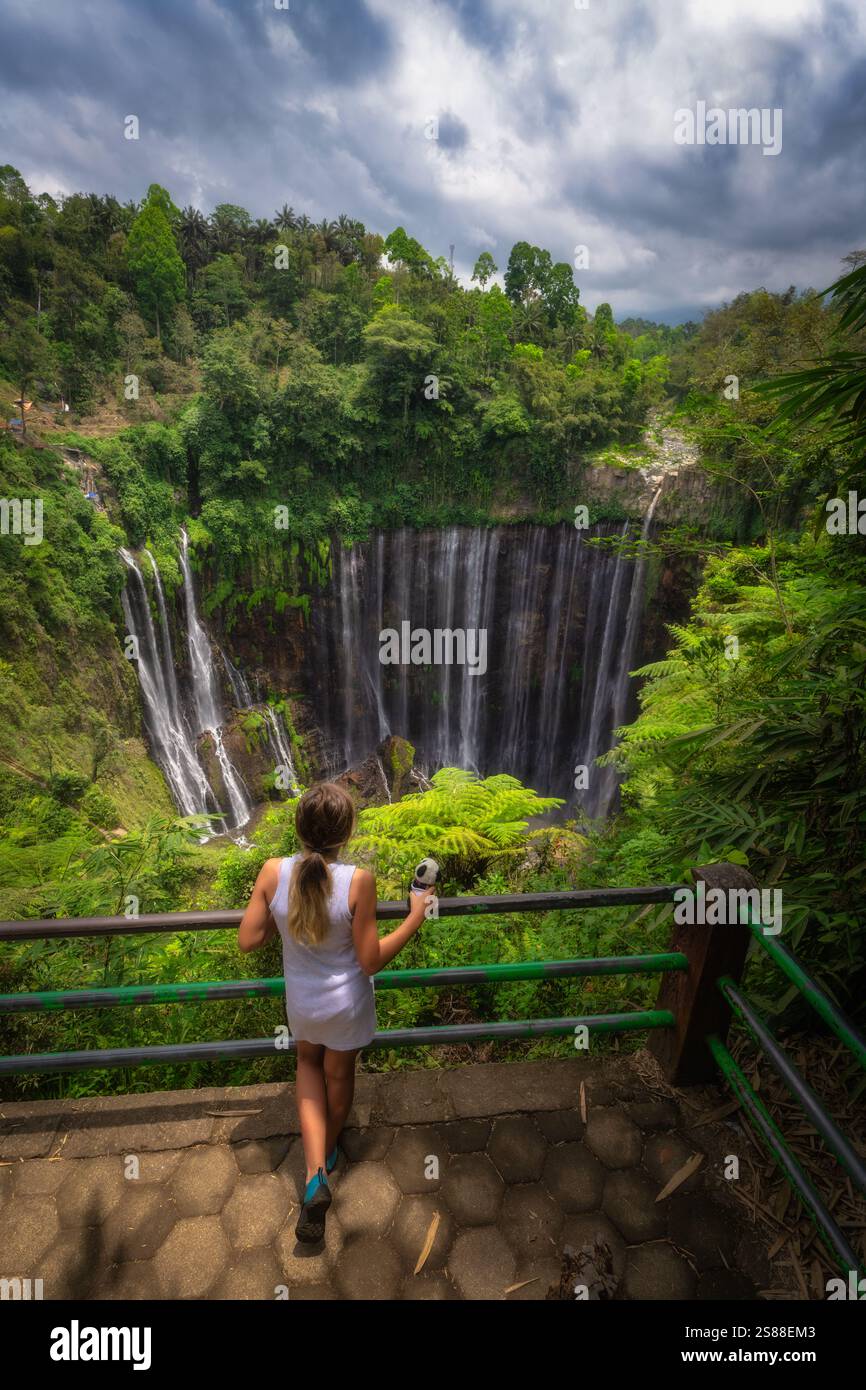 A stunning Tumpak Sewu waterfall cascades dramatically into a lush ...