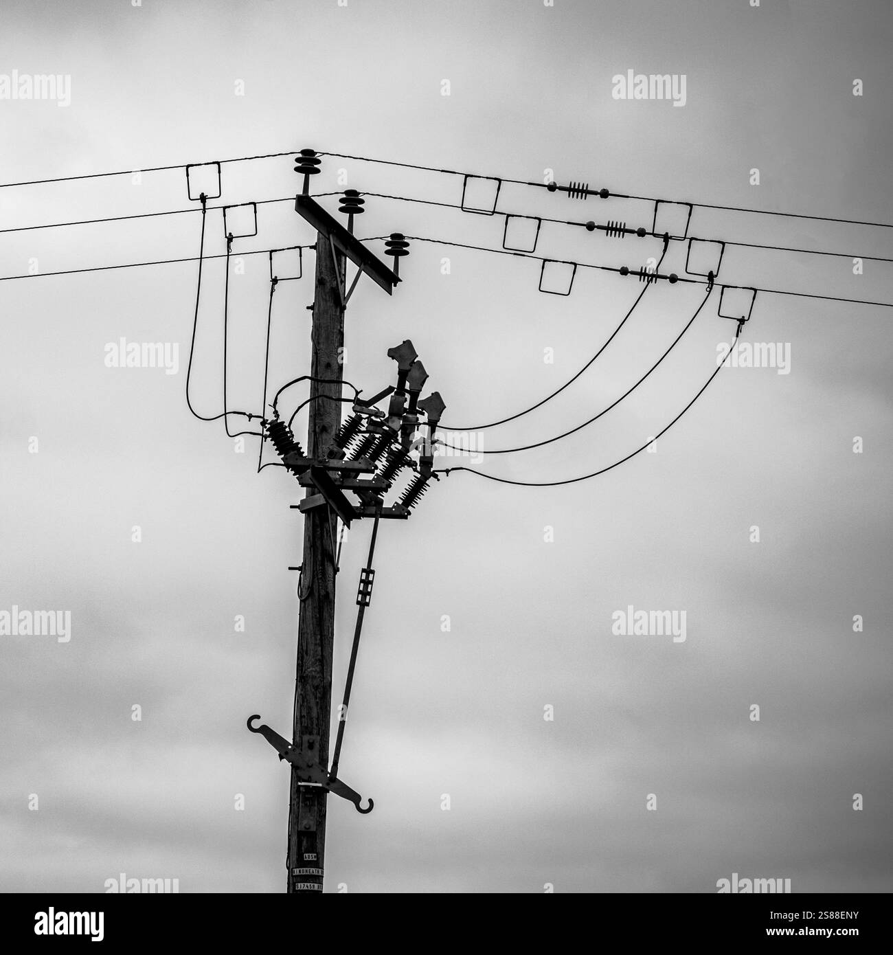 Black & white of overhead electricity pole UK Stock Photo - Alamy