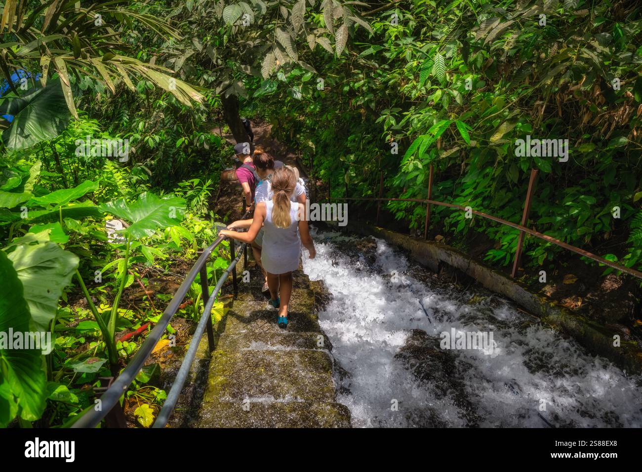 A scenic pathway through a lush landscape leads to a breathtaking ...