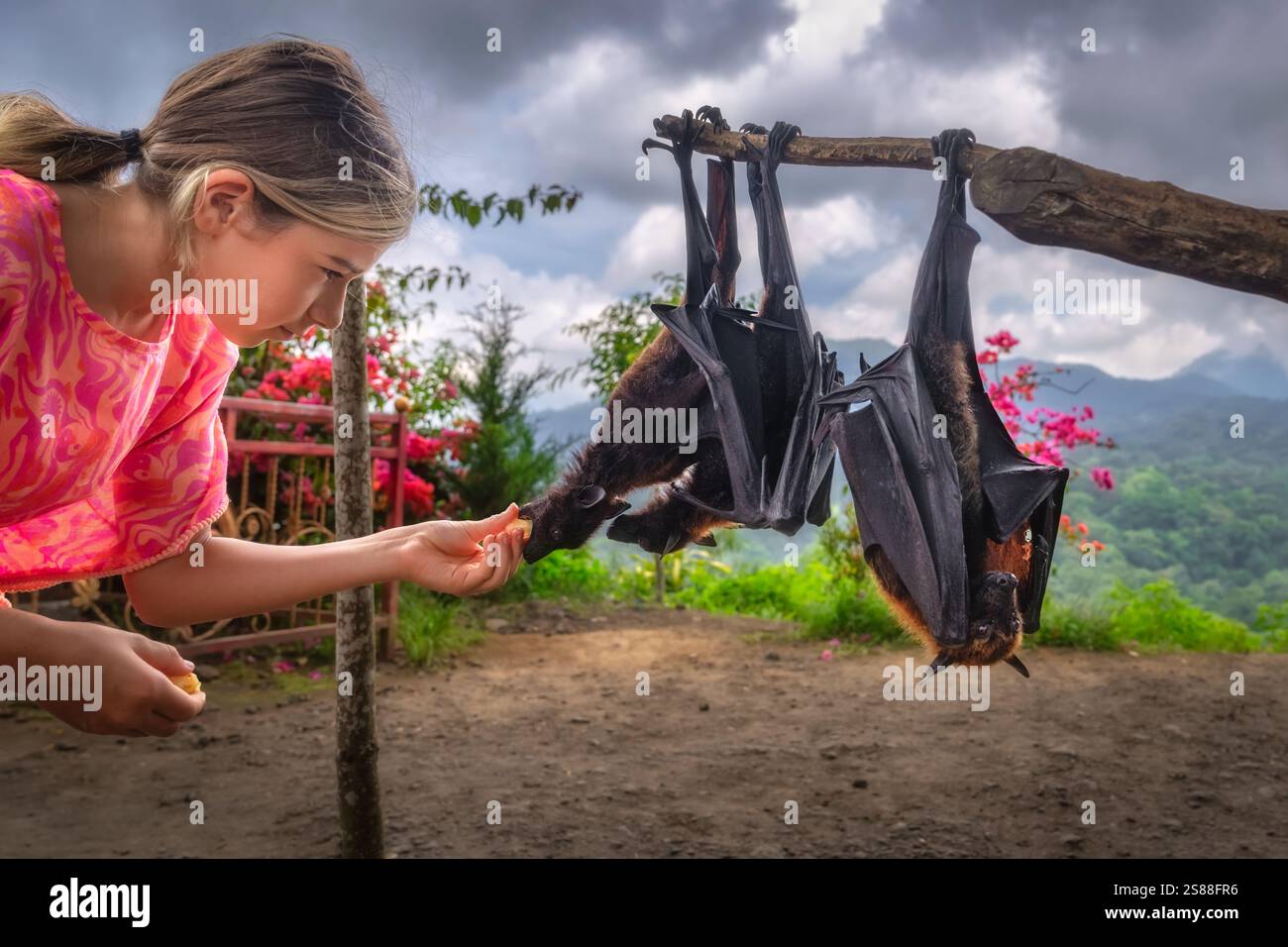 In a vibrant green landscape, a girl gently feeds bats that are hanging ...