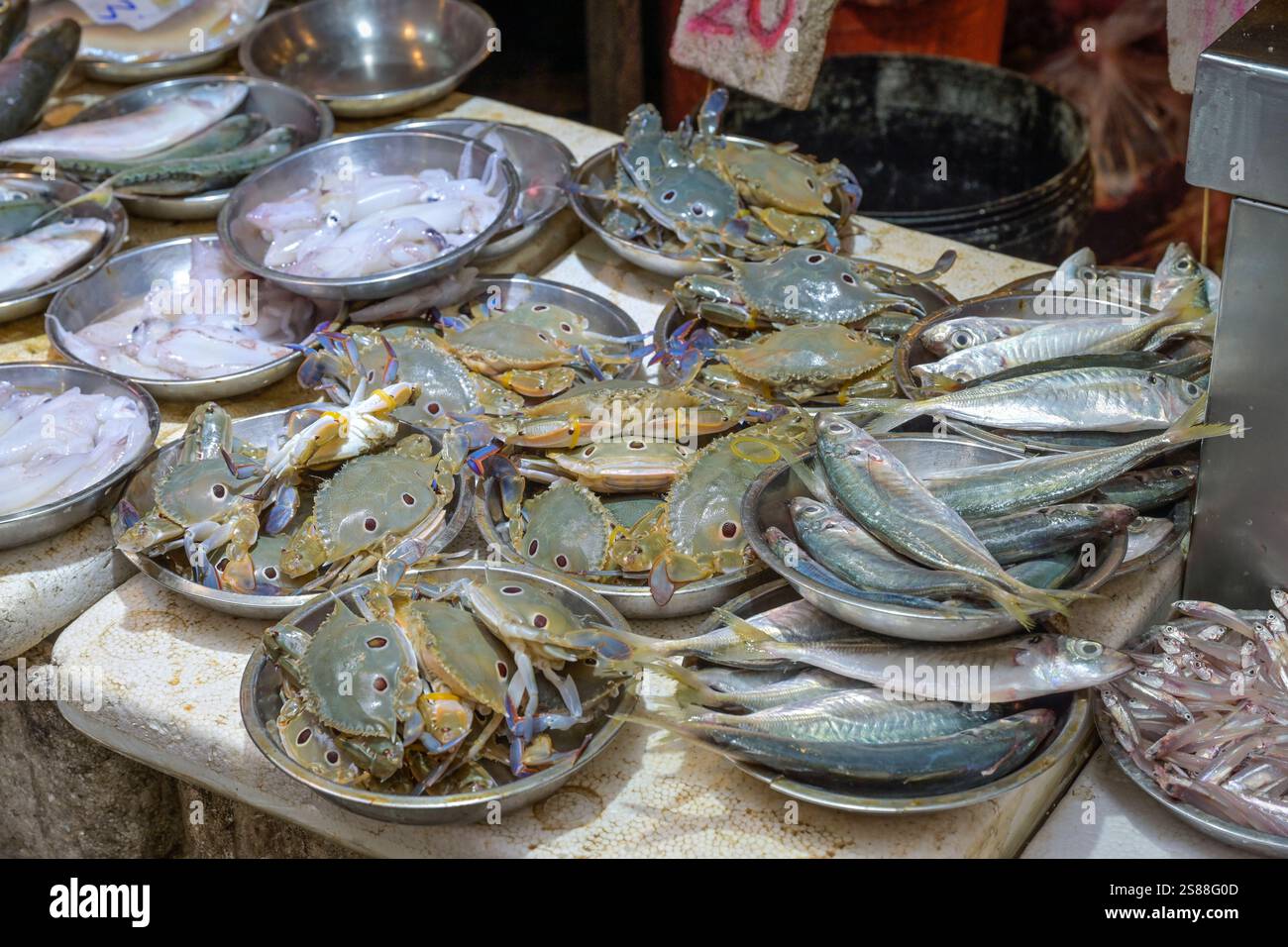 Fische, Krebse, Fachgeschäft für Fische und Meeresfrüchte, Wan Chai ...