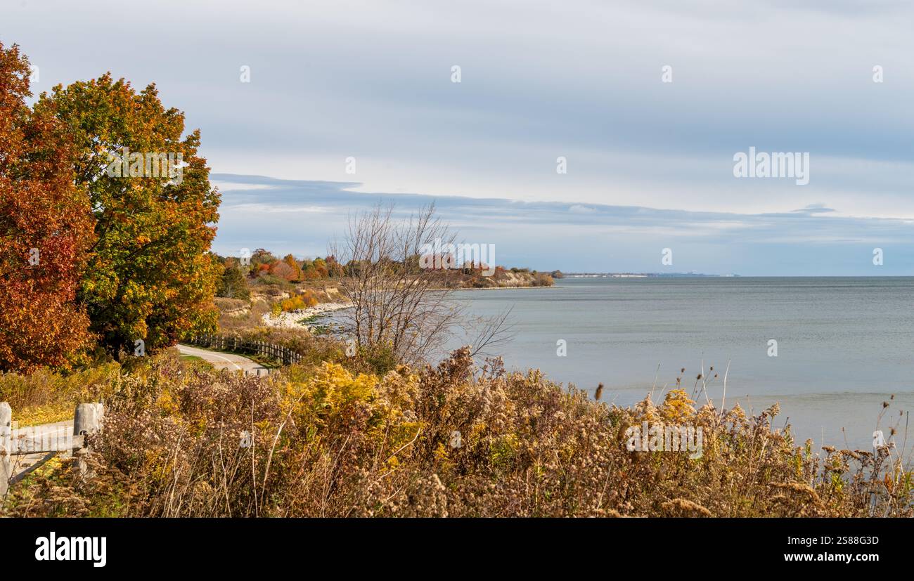Vibrant healthy trees in the park Stock Photo - Alamy