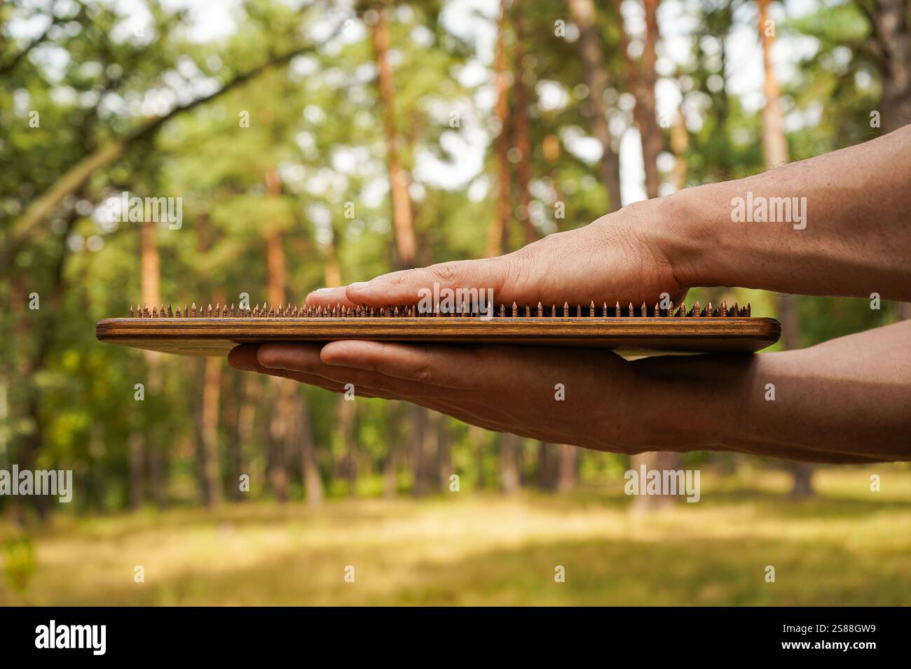 Sadhu board with nails are held by a man between two hands. Acupuncture ...