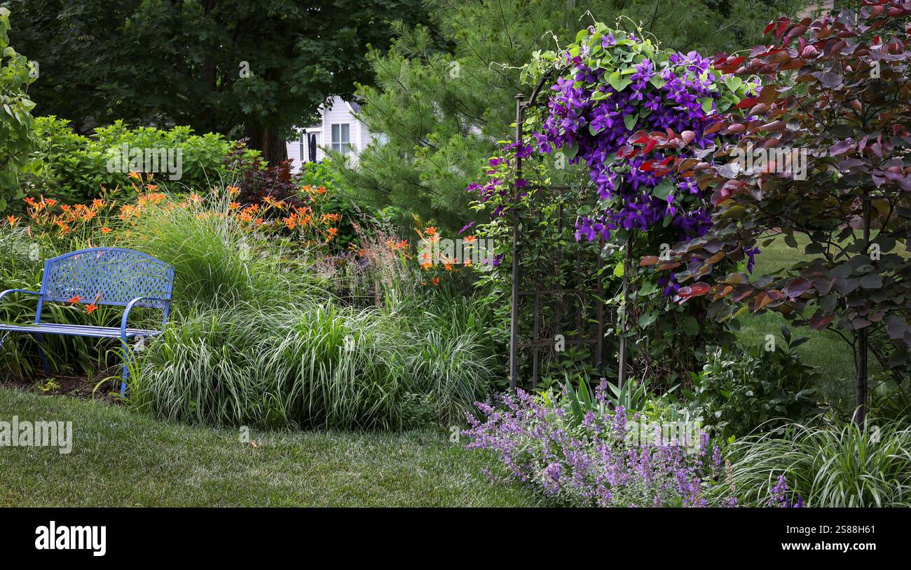A winding heart shaped dutchman's pipe planted with a spectacular ...