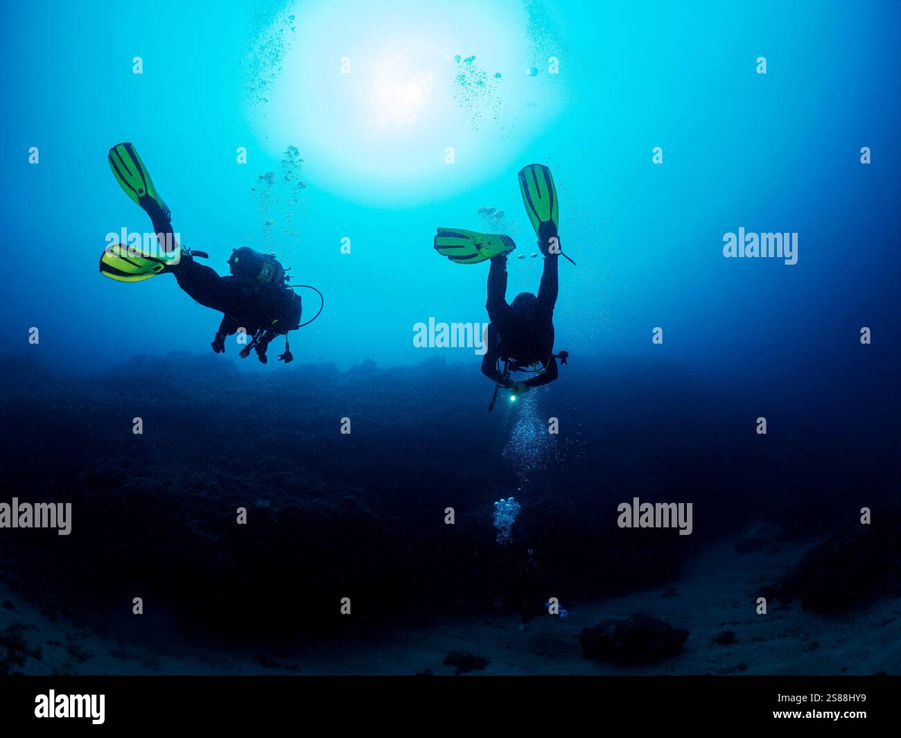 silhouette of two divers diving near of bottom Stock Photo - Alamy