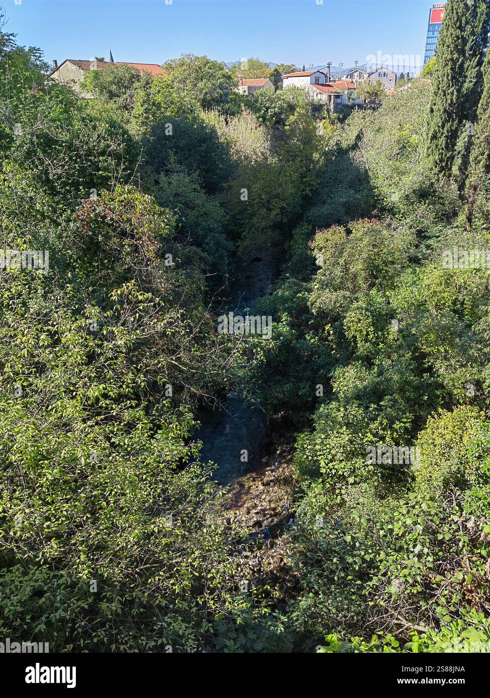 River in dense forest hi-res stock photography and images - Alamy