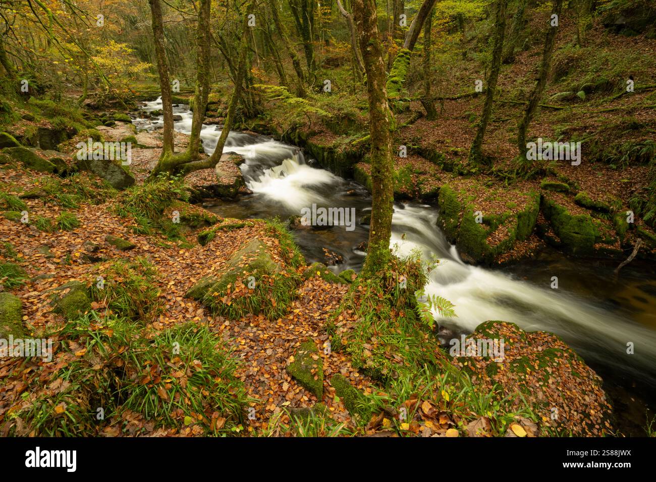 Golitha Falls, River Fowey, Cornwall, UK Stock Photo - Alamy