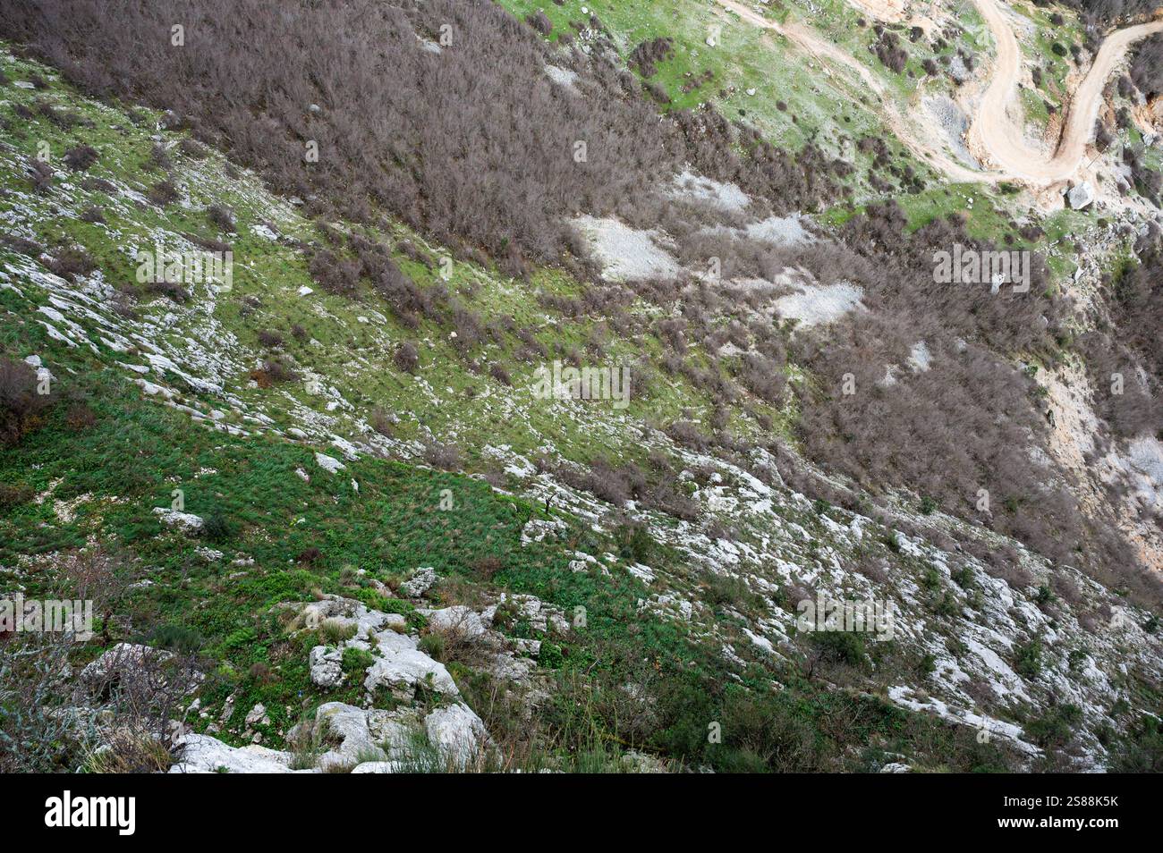 High angle view over rough rocks and green vegetation of the Gamti ...