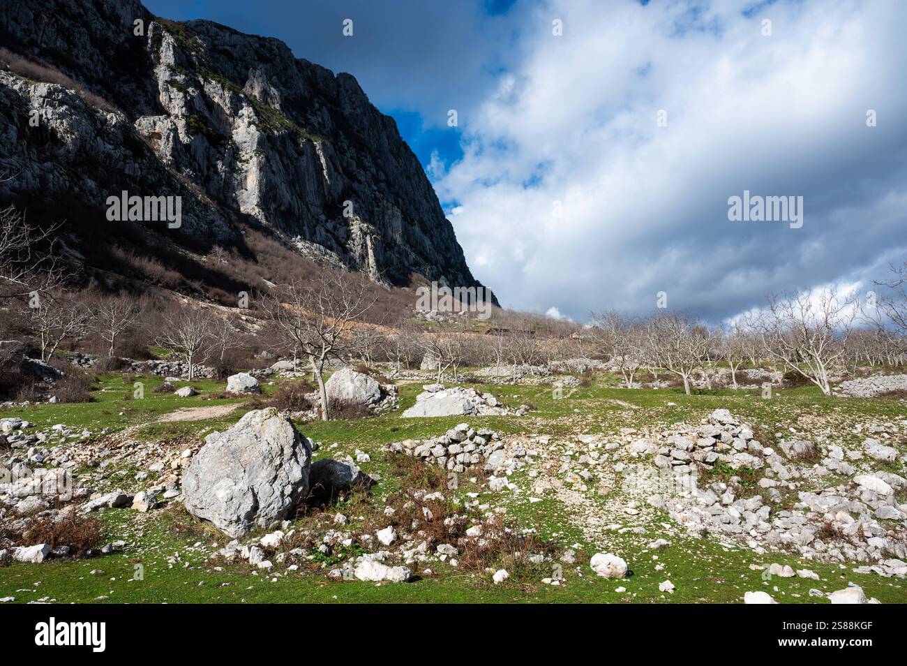 Fallen stone and rock formation with a mountain background at Gamti ...