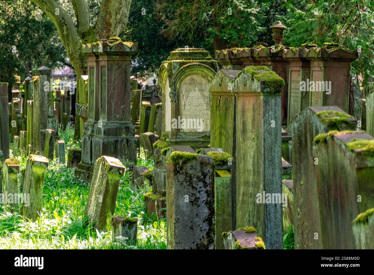 Old Jewish cemetery in Frankfurt am Main, Germany Stock Photo - Alamy