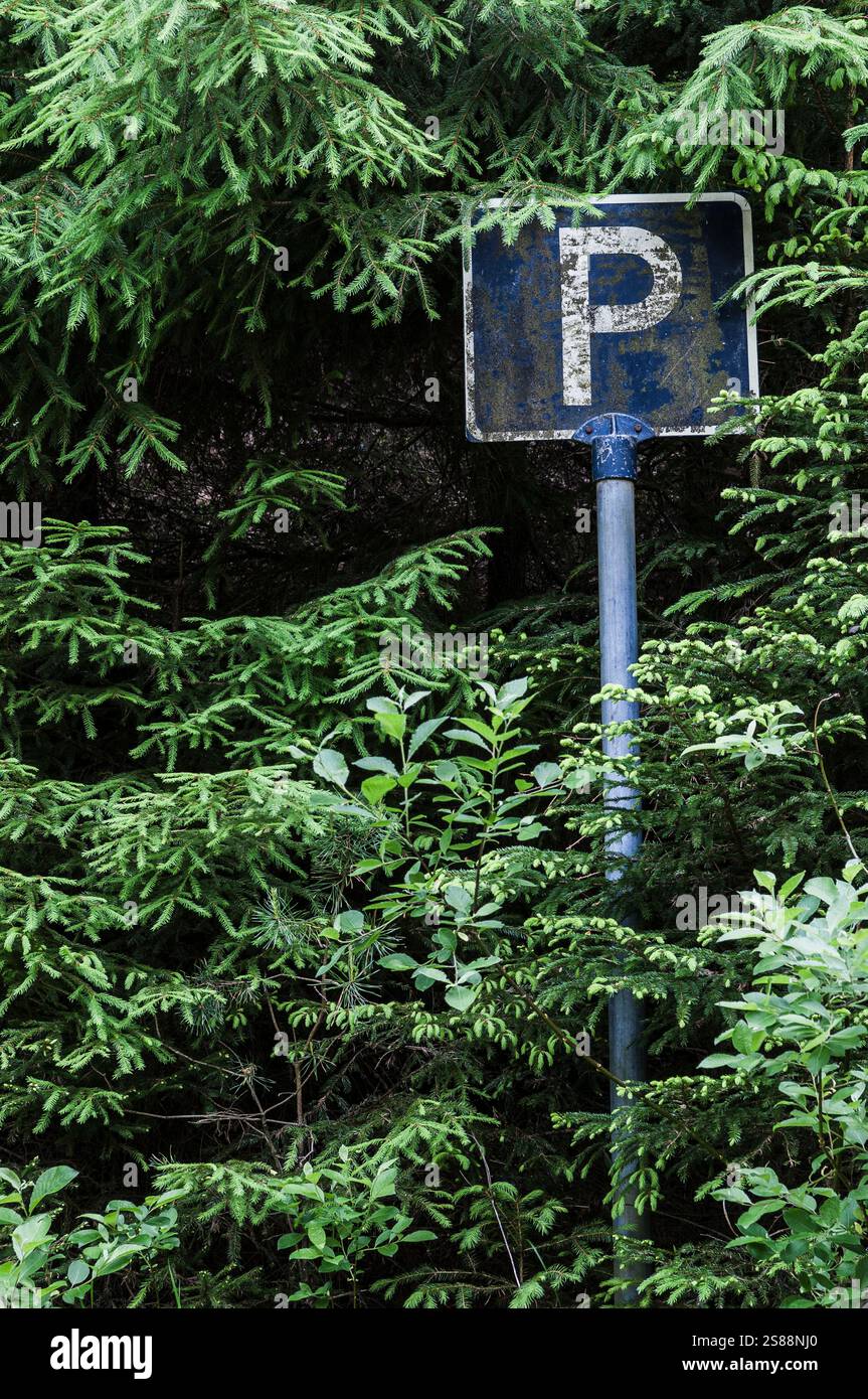 A parking place sign is almost completely hidden among dense green ...