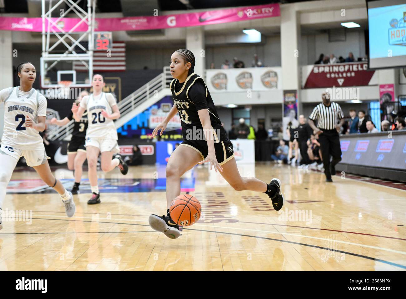 SPRINGFIELD, MA - JANUARY 18: Tiera McCarthy of Archbishop Mitty (12 ...