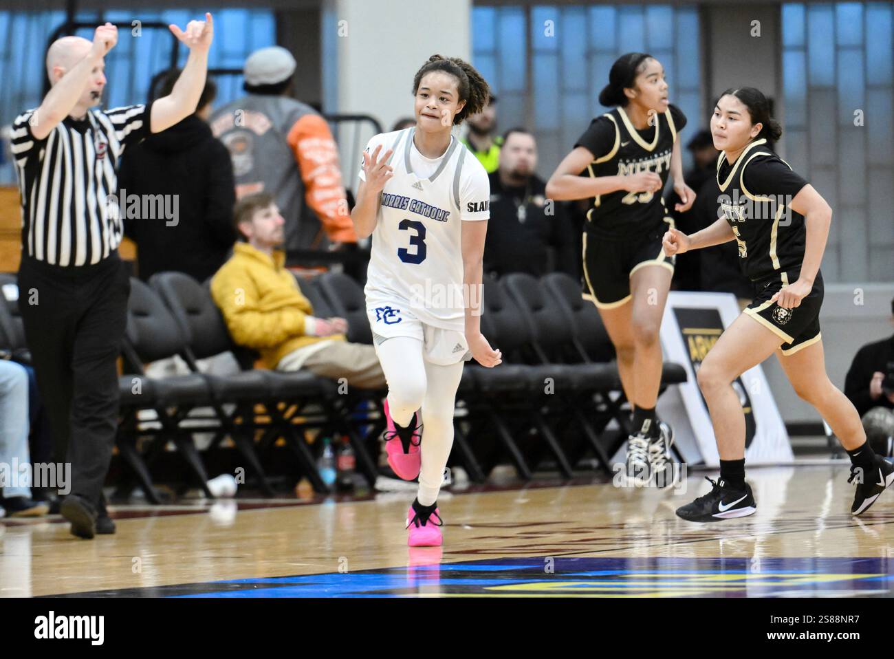 SPRINGFIELD, MA - JANUARY 18: Mia Pauldo of Morris Catholic (3) during ...