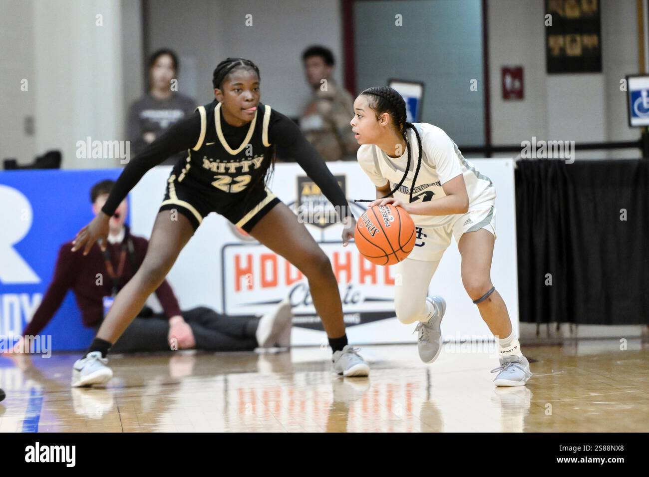 SPRINGFIELD, MA - JANUARY 18: Mya Pauldo of Morris Catholic (2) during ...