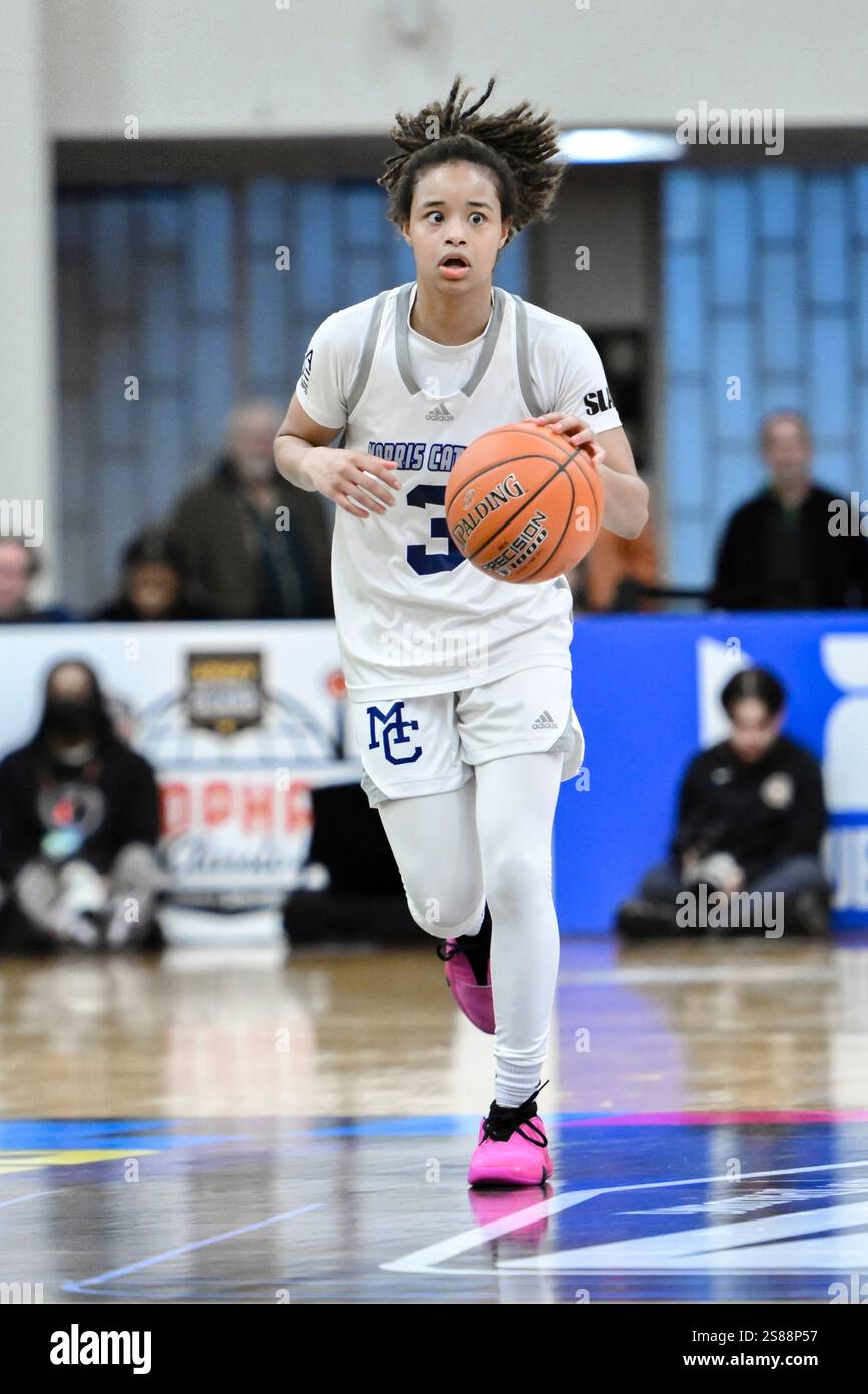 SPRINGFIELD, MA - JANUARY 18: Mia Pauldo of Morris Catholic (3) during ...