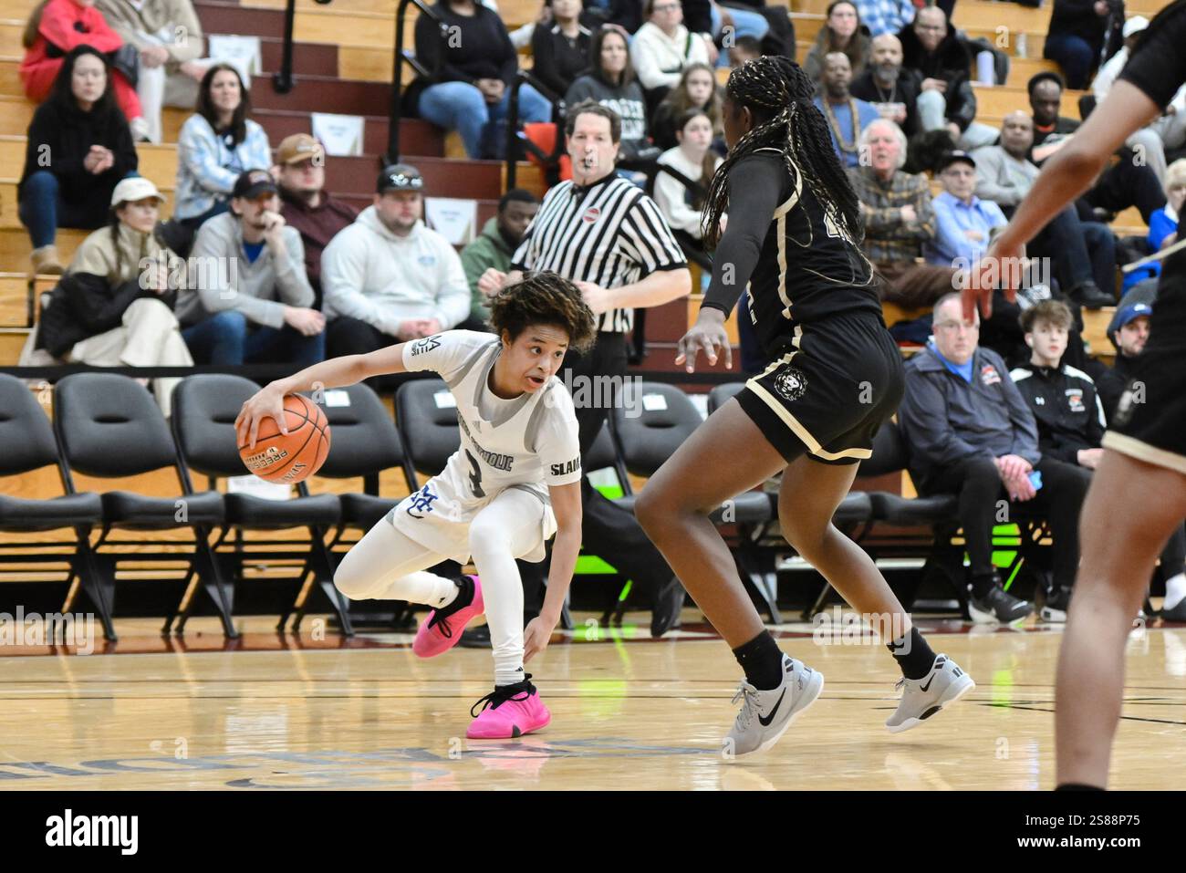 SPRINGFIELD, MA - JANUARY 18: Mia Pauldo of Morris Catholic (3) makes a ...