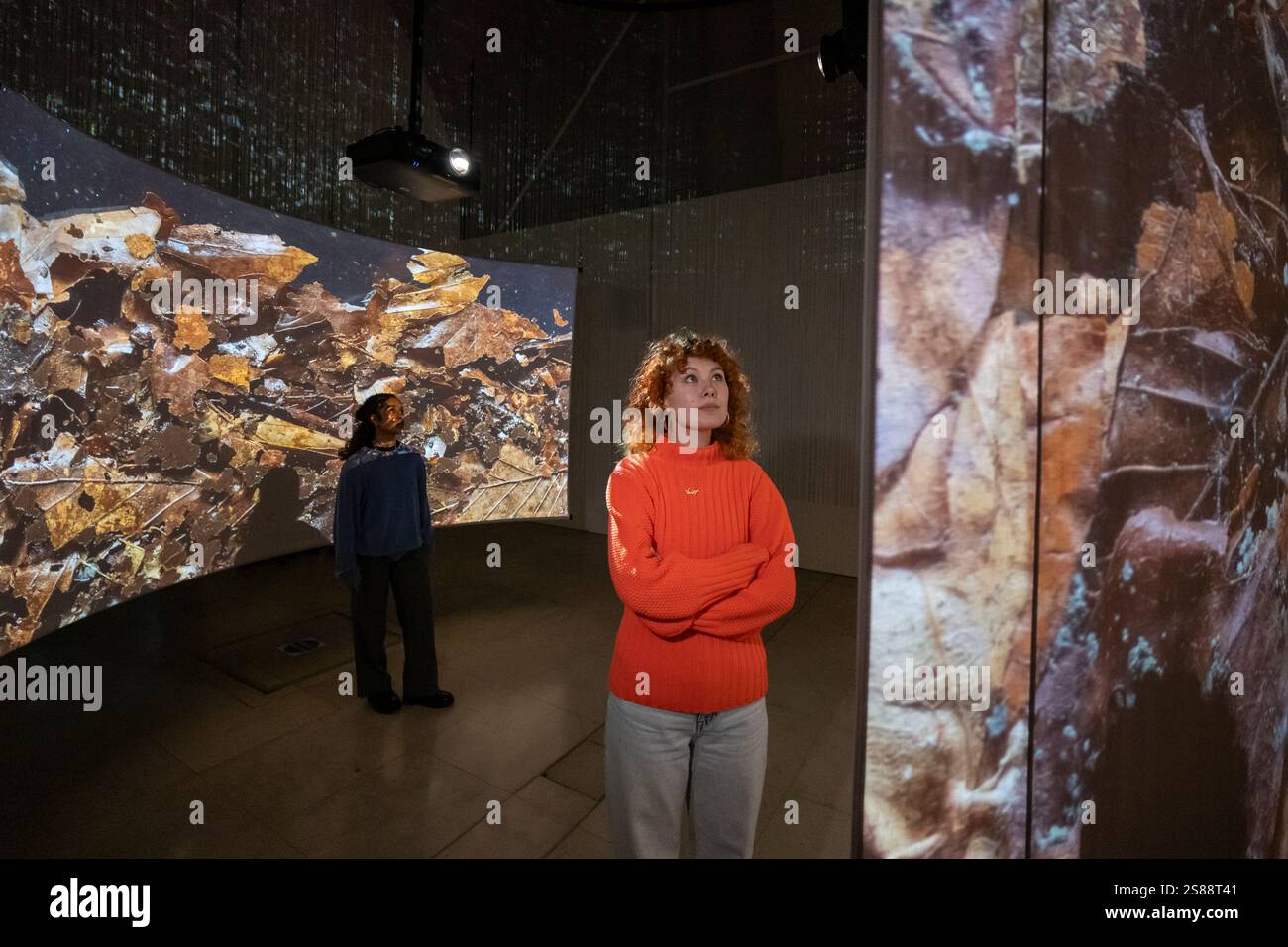 Root microbes hi-res stock photography and images - Alamy