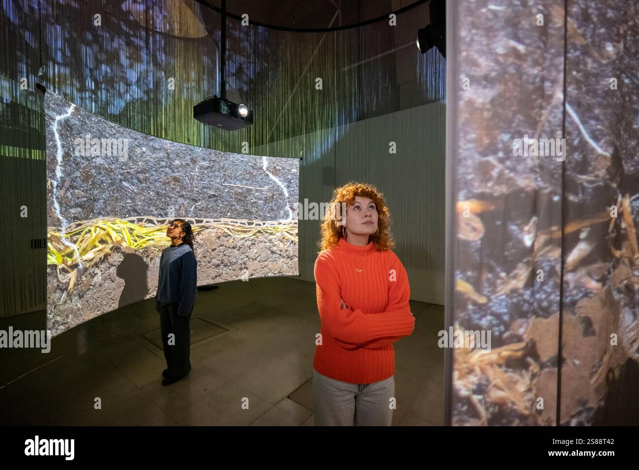 Root microbes hi-res stock photography and images - Alamy