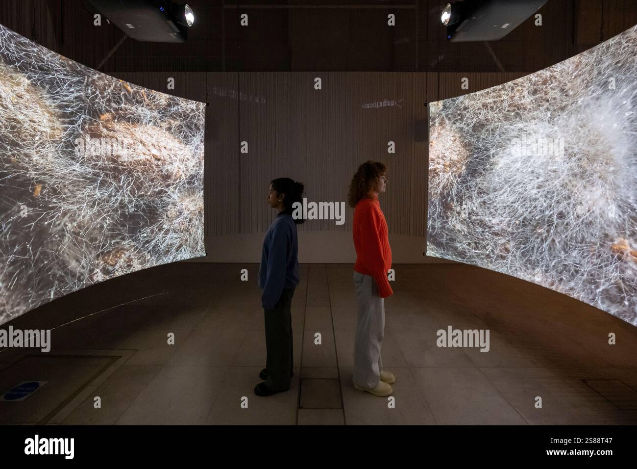 Root microbes hi-res stock photography and images - Alamy