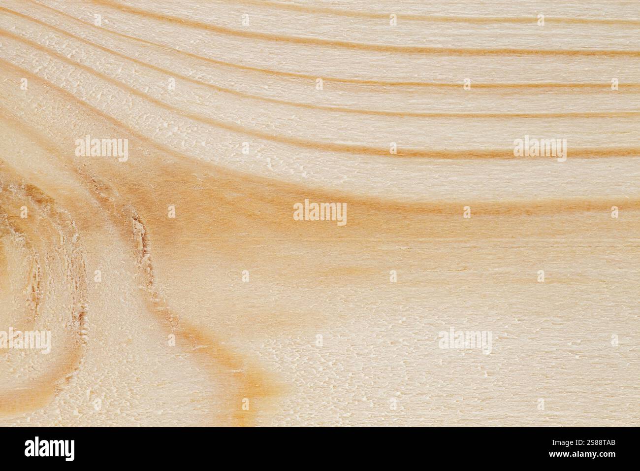 wood structure of wood surface with fibers close-up background Stock ...