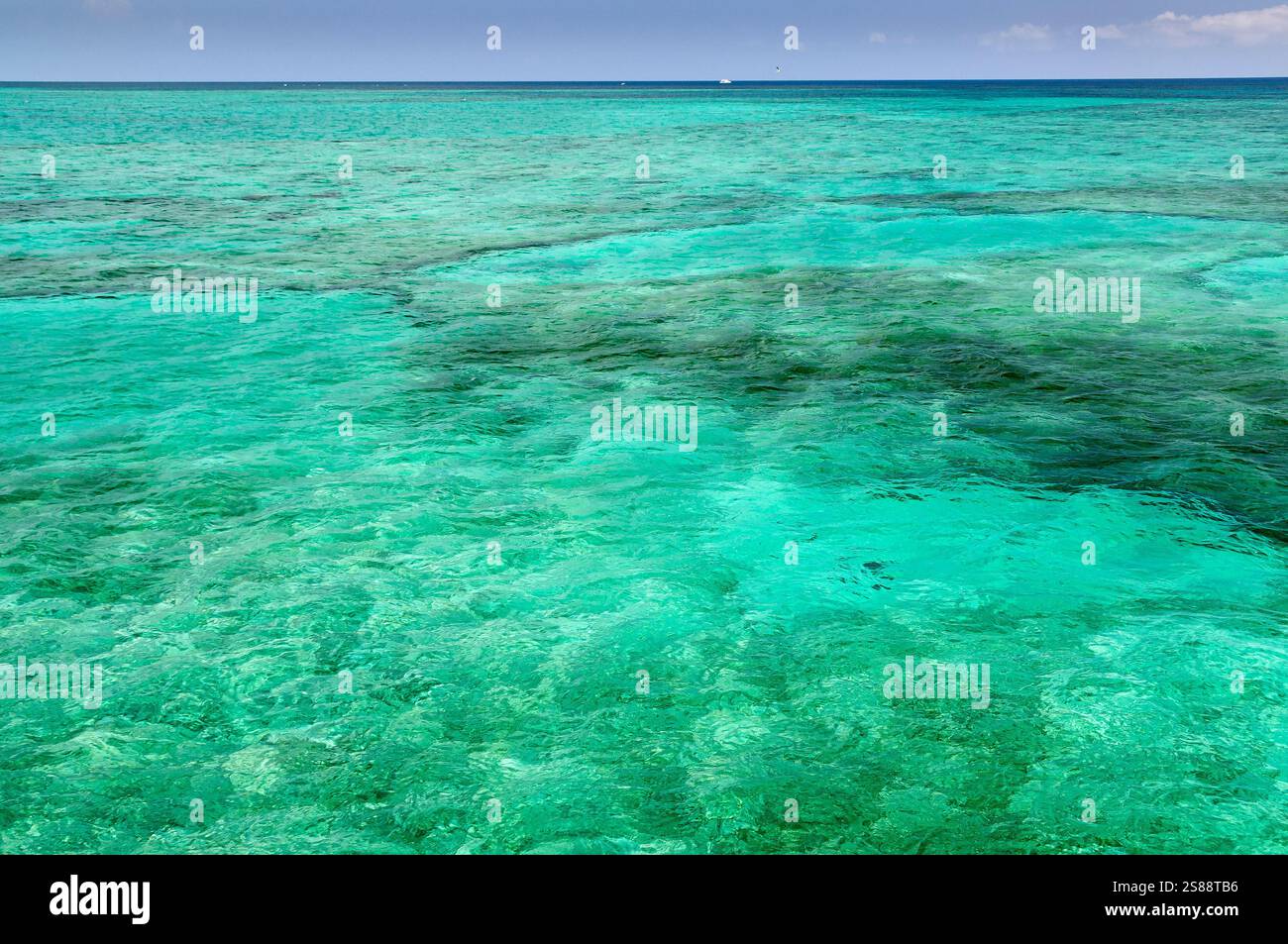 The shore of West Caicos Island. Turks & Caicos Islands at the ...