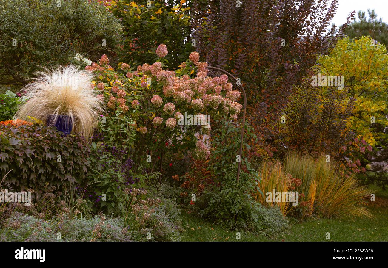 Add movement and texture with ornamental grasses hi-res stock ...
