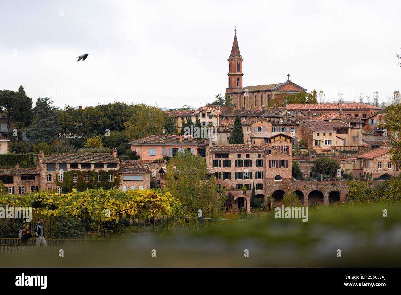 Charming view of Albi in Occitanie, France, highlighting its ...