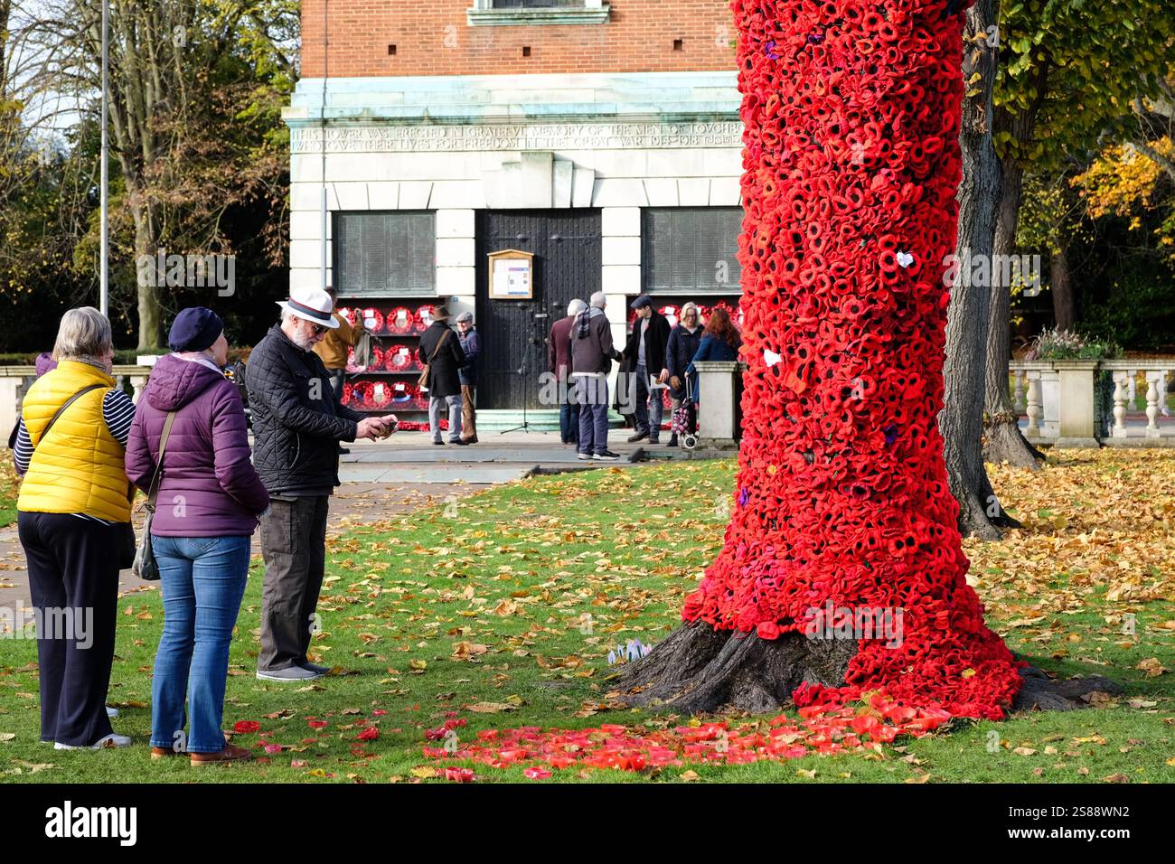 tree wrapped in knitted poppies in queens park loughborough Stock Photo ...