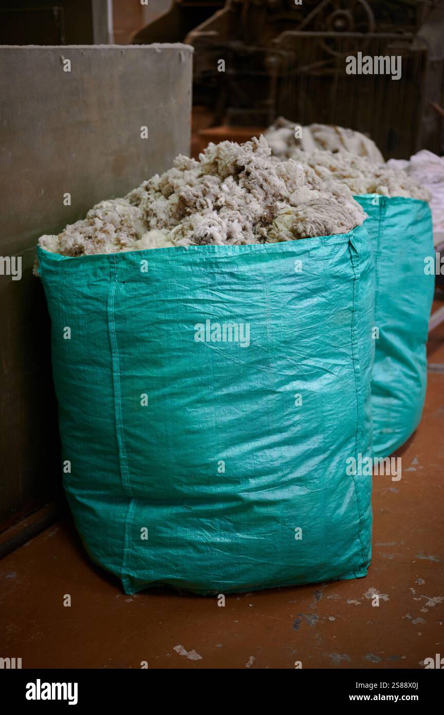 Bags filled with freshly harvested sheep wool ready for processing in a ...