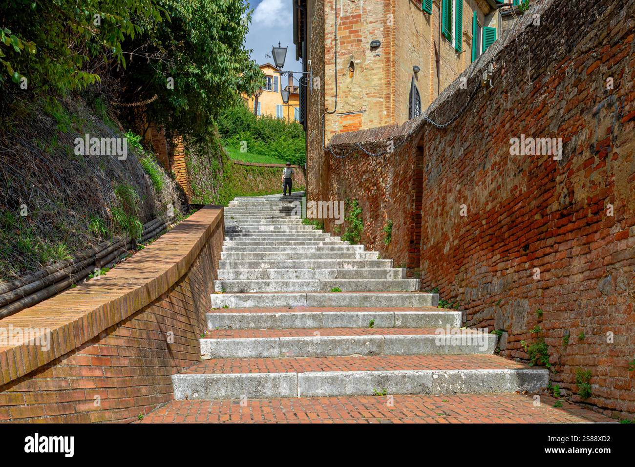 Orca contrada hi-res stock photography and images - Alamy