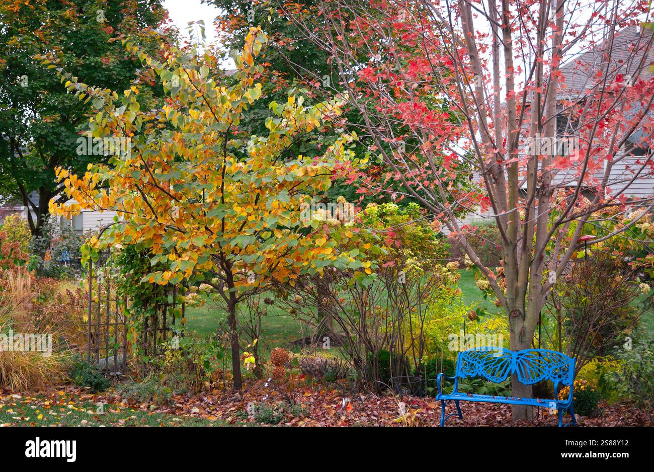 Dazzling Autumn photo of a beautiful garden bordered by a living fence ...