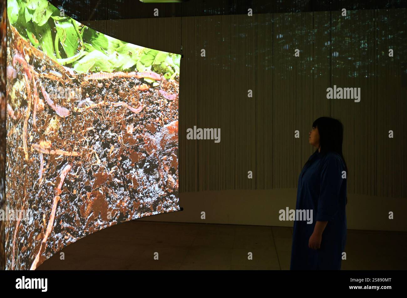 The World at Our Feet, a landmark exhibition unearthing the wonder of soil, its unbreakable bond ...