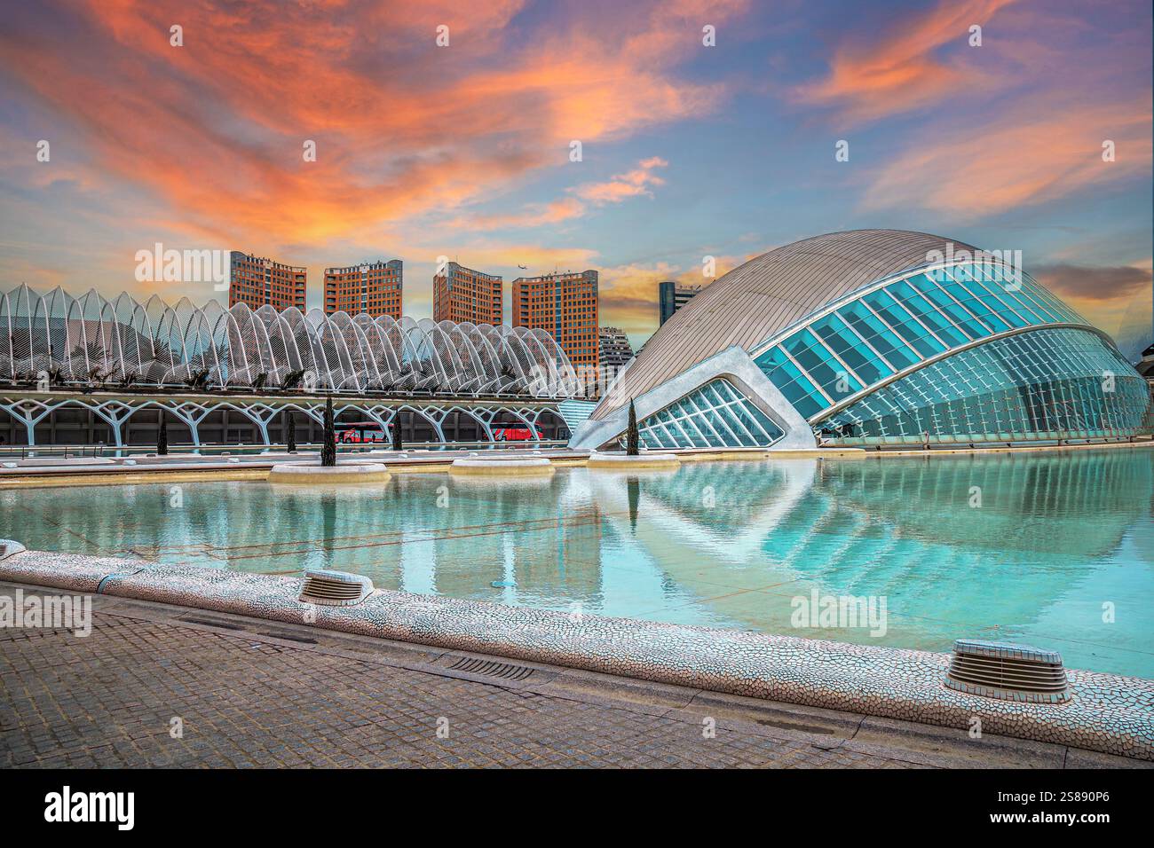 Cultural and architectural complex City of Arts and Sciences, designed ...