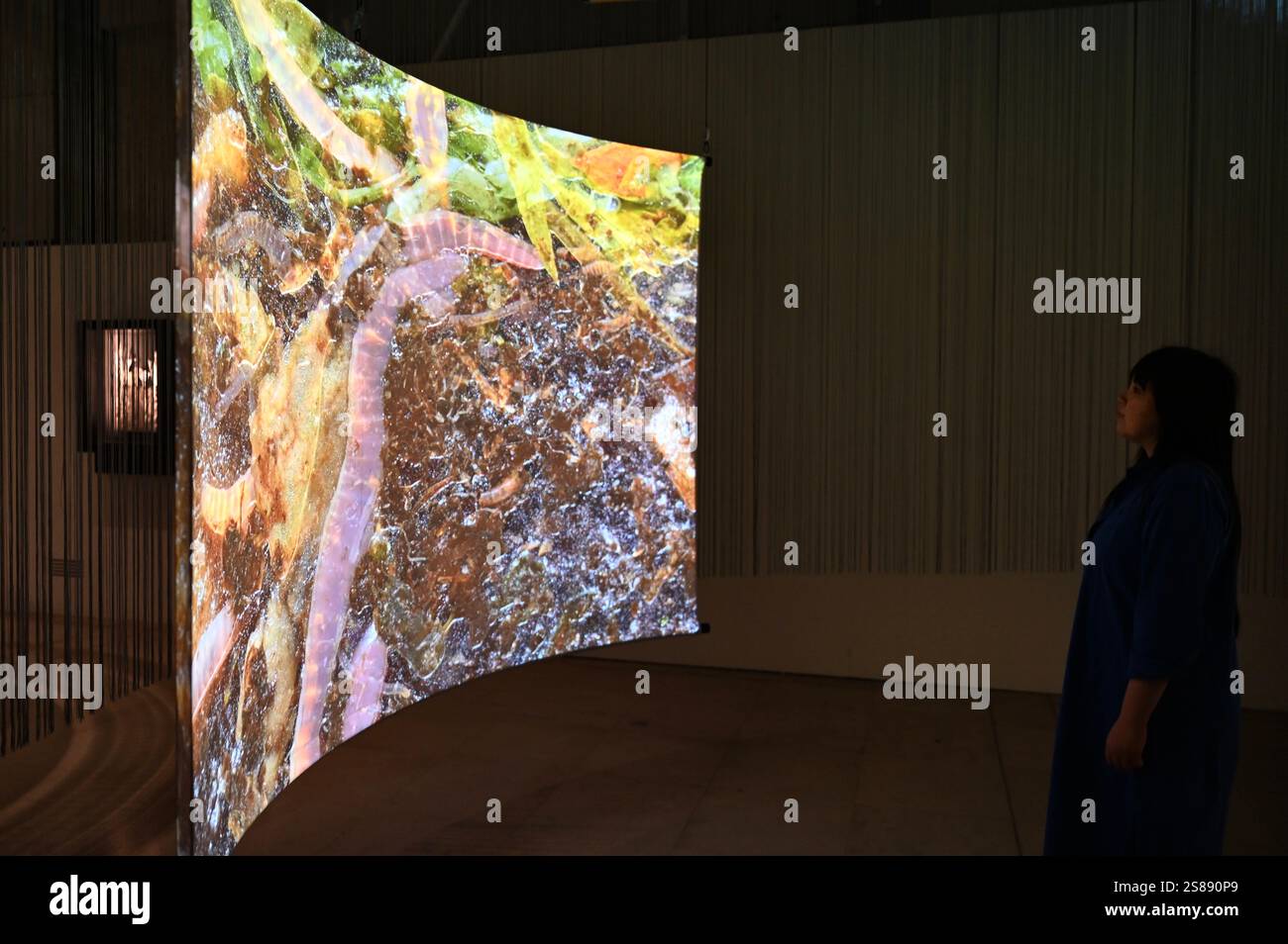 The World at Our Feet, a landmark exhibition unearthing the wonder of soil, its unbreakable bond ...