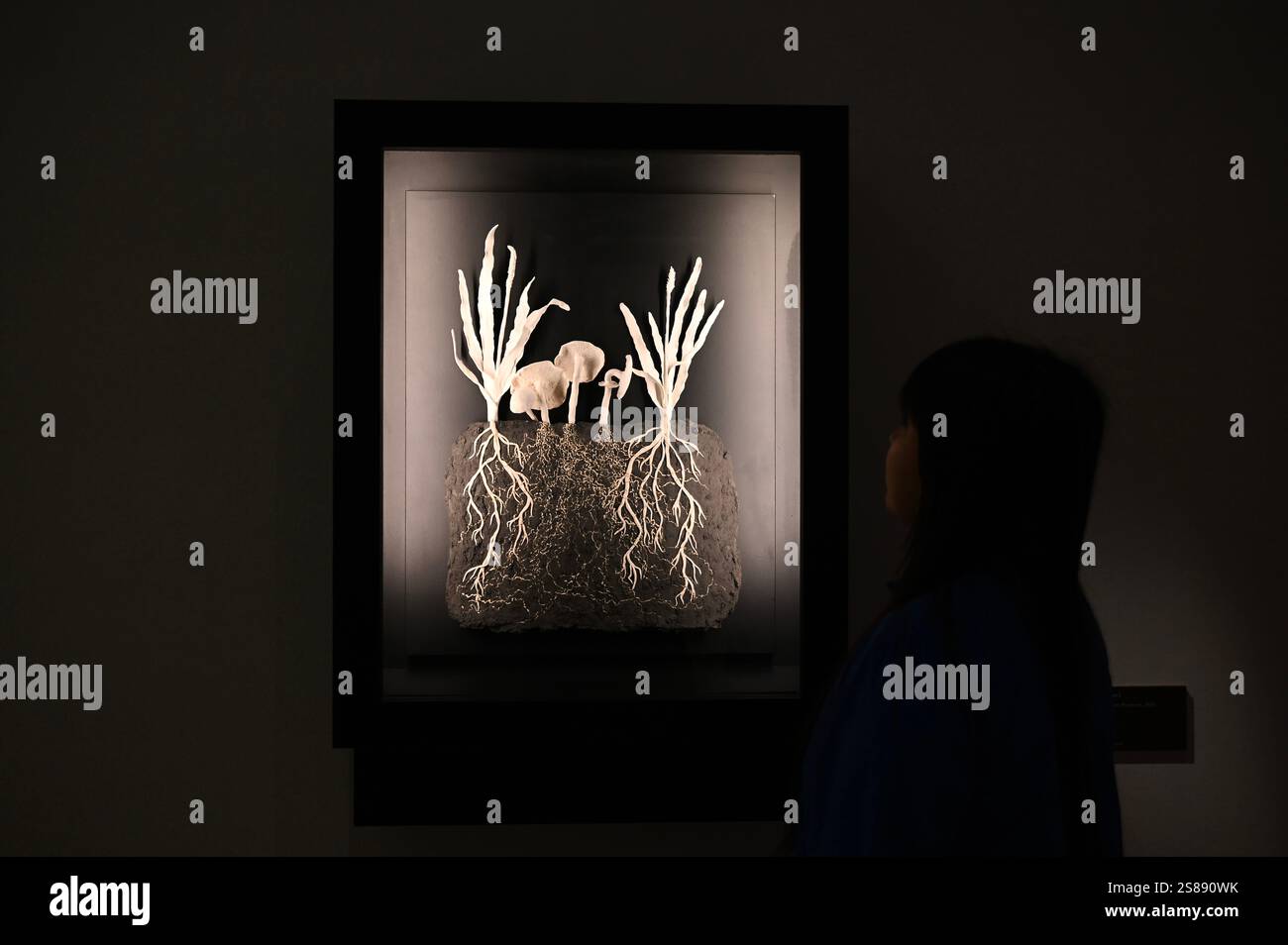 The World at Our Feet, a landmark exhibition unearthing the wonder of ...