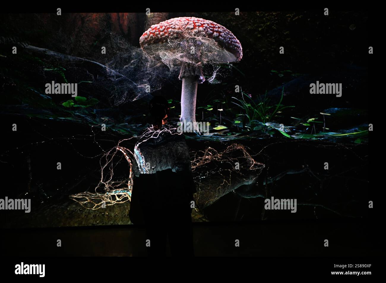 The World at Our Feet, a landmark exhibition unearthing the wonder of ...