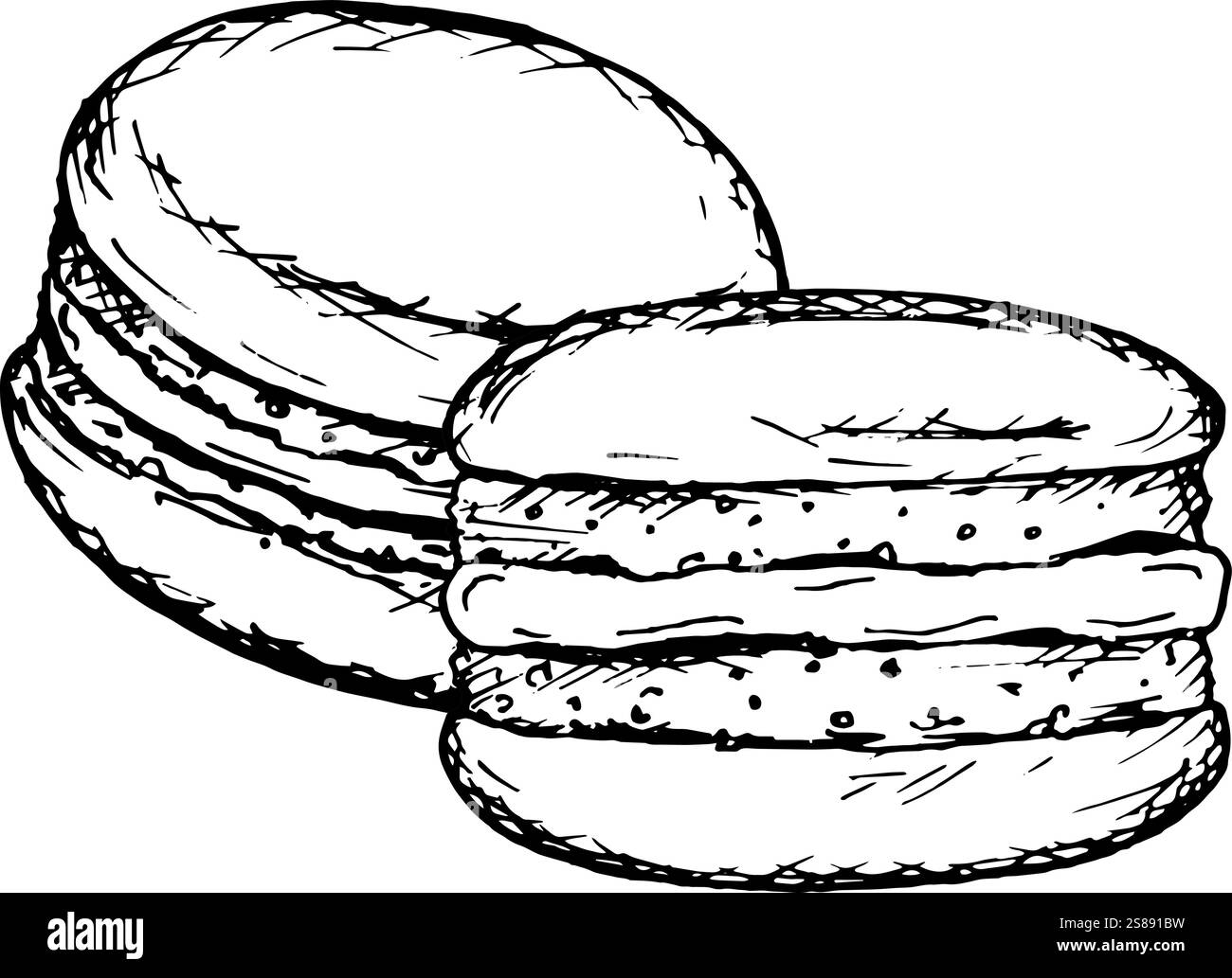 Black and white illustration of two macarons, drawn in a detailed ...