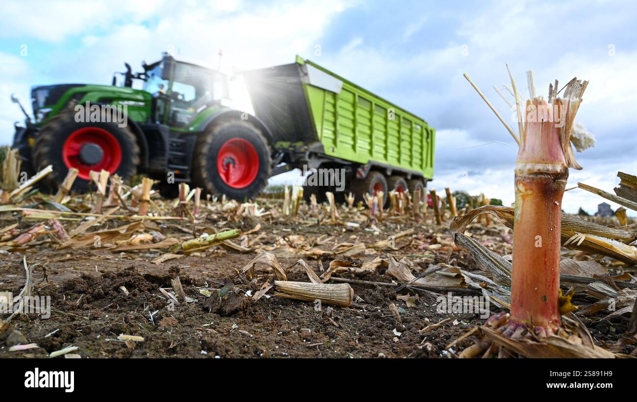 Latest forage harvester-tractor combine harvester harvesting a maize ...